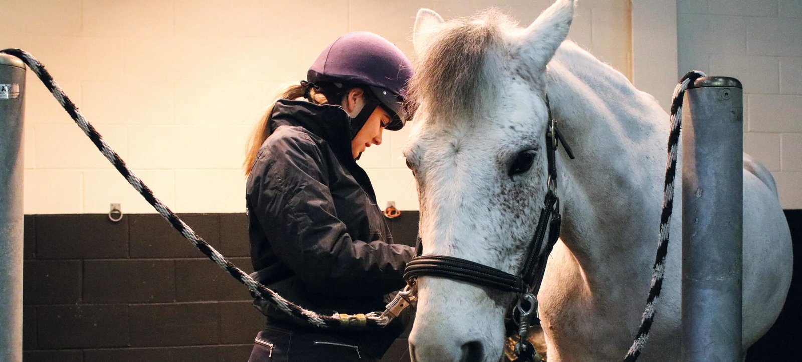 Guide to Chart Your Career Path Through Equine Studies in Australia